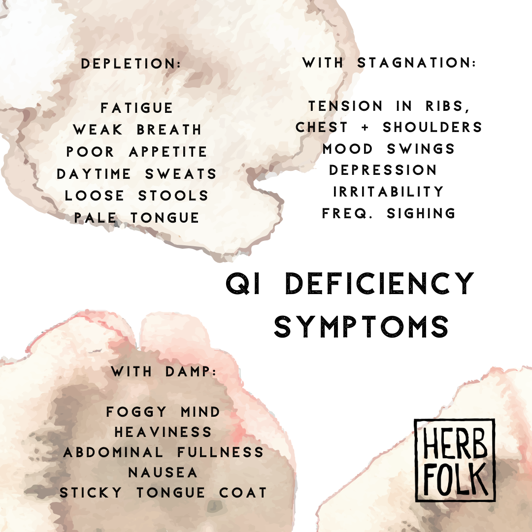 Qi Deficiency // Eastern Energetics– HERB FOLK